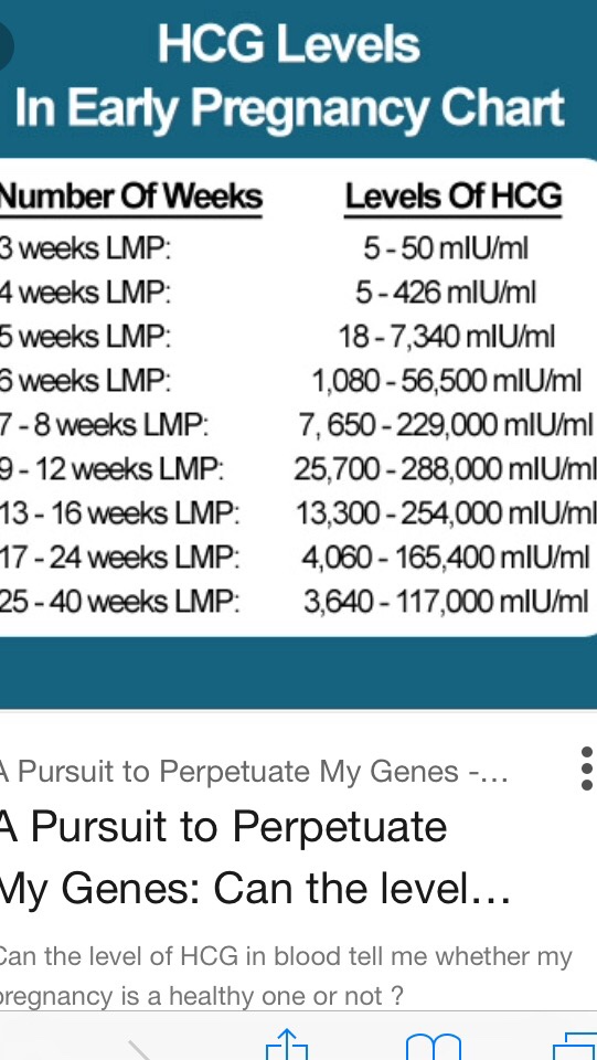 5 Weeks Pregnant Are My Hcg Levels Ok 5 Weeks Pregnant Are My Hcg Levels Ok